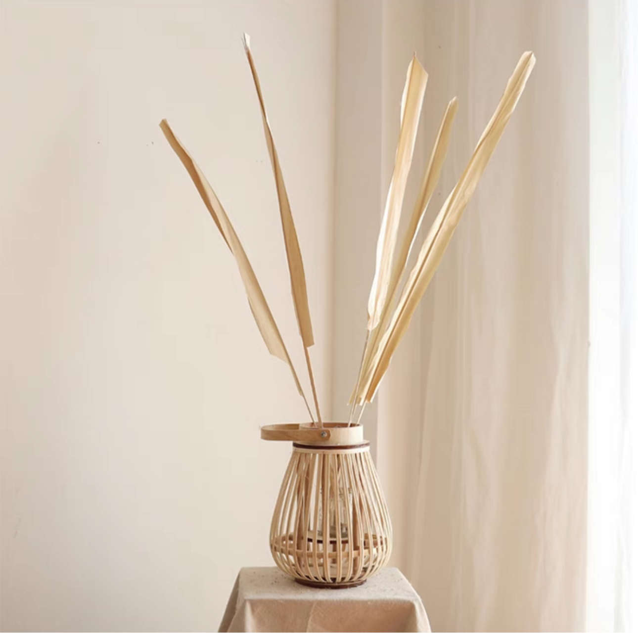 Gwen Bleached Long Stem Palm | The Happy Place